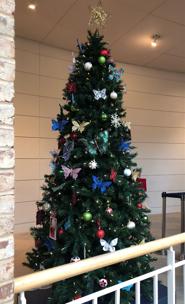 TECO Atlanta joined Fernbank Museum Winter Won... - Taipei Economic and ...