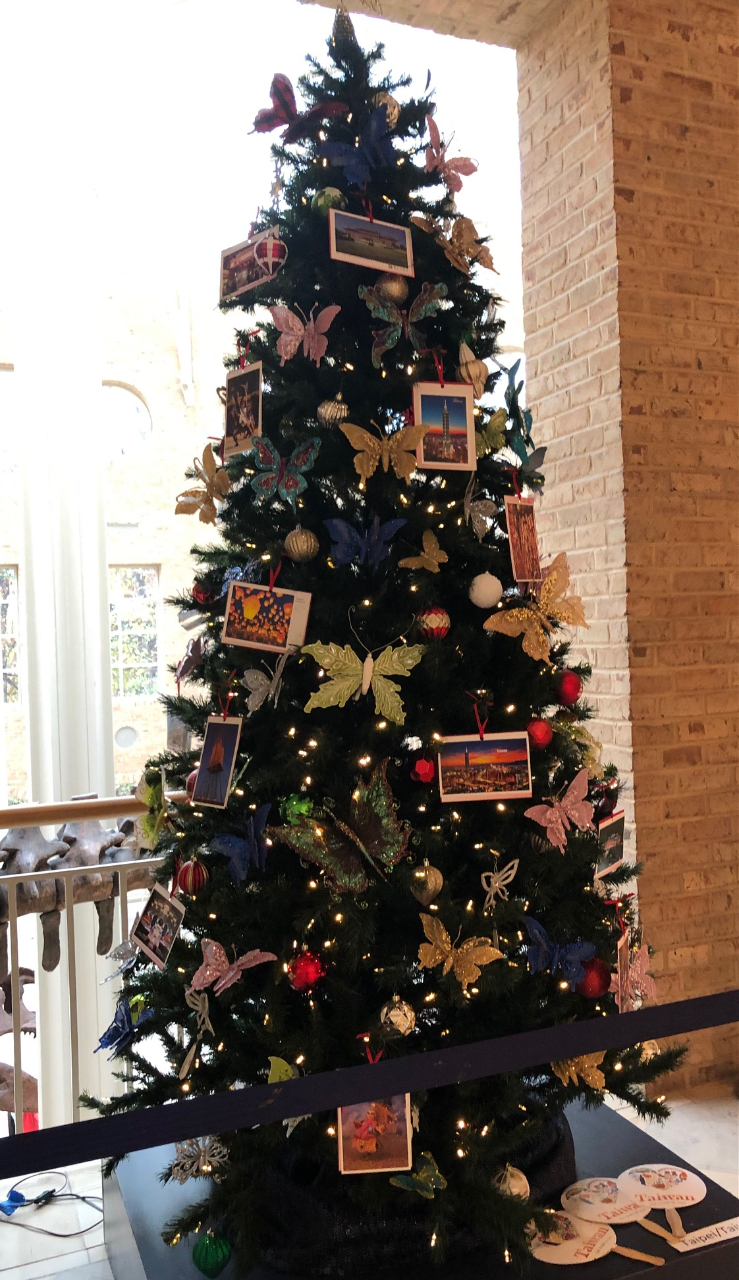 TECO Atlanta joined Fernbank Museum Winter Won... - Taipei Economic and ...